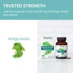 Herbal Ginkgo Biloba for stress relief