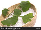 herbal ginkgo biloba for wellness