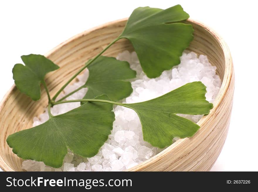 herbal ginkgo biloba for wellness