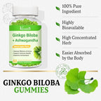 herbal ginkgo biloba gummies for focus