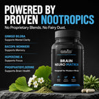 herbal ginkgo biloba supplement benefits