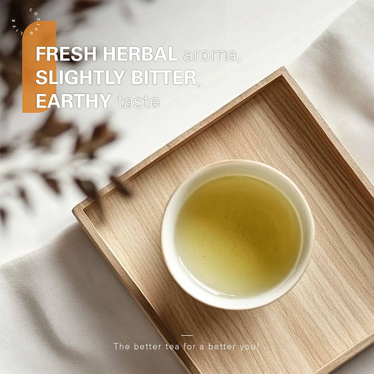 herbal ginkgo biloba tea for wellness