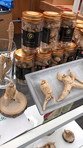 herbal ginseng for daily vitality