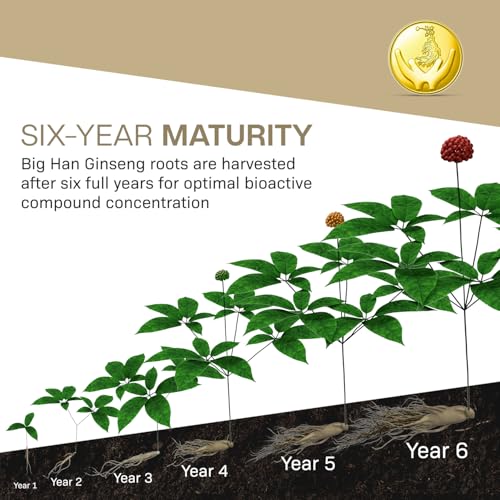 herbal ginseng for immune support