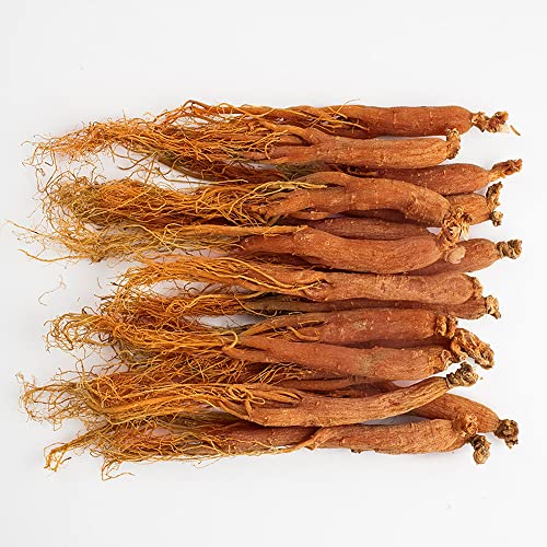 herbal ginseng tea for health