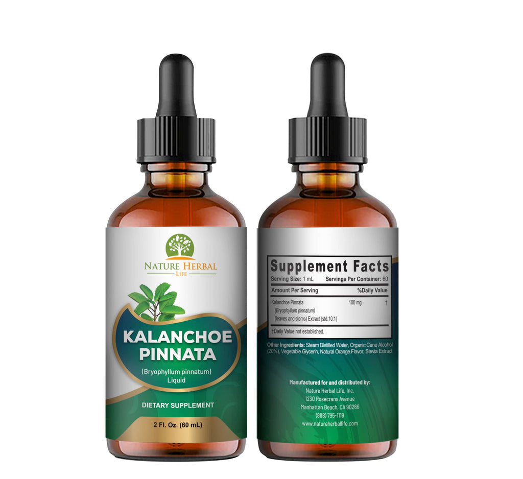 Herbal glycerite for daily nutrition