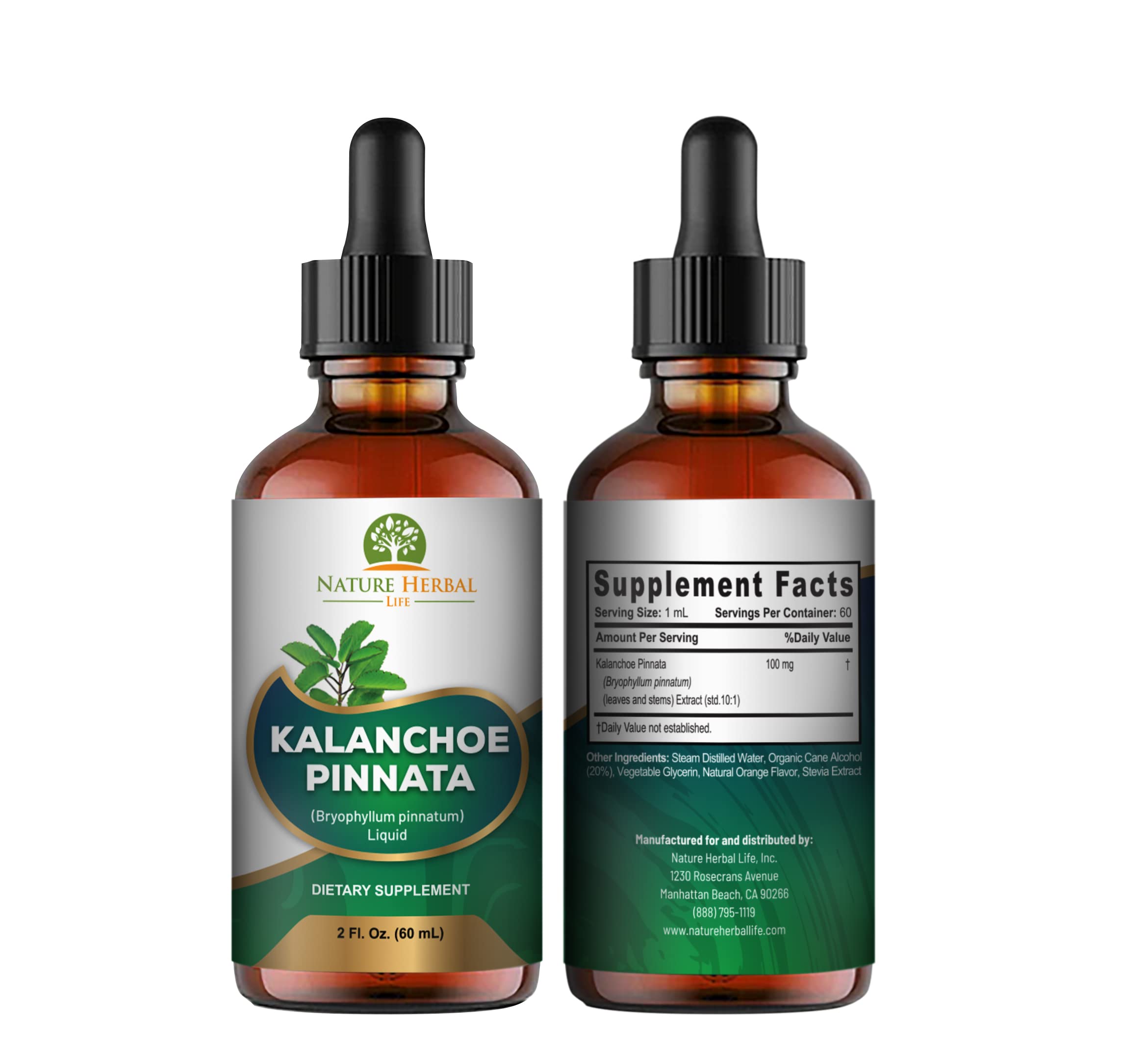 Herbal glycerite for daily nutrition