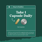 herbal green coffee bean benefits