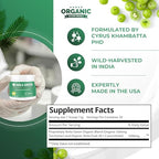 Herbal green tea extract benefits