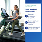 herbal green tea extract capsules