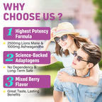 Herbal gummies for improved focus and concentration