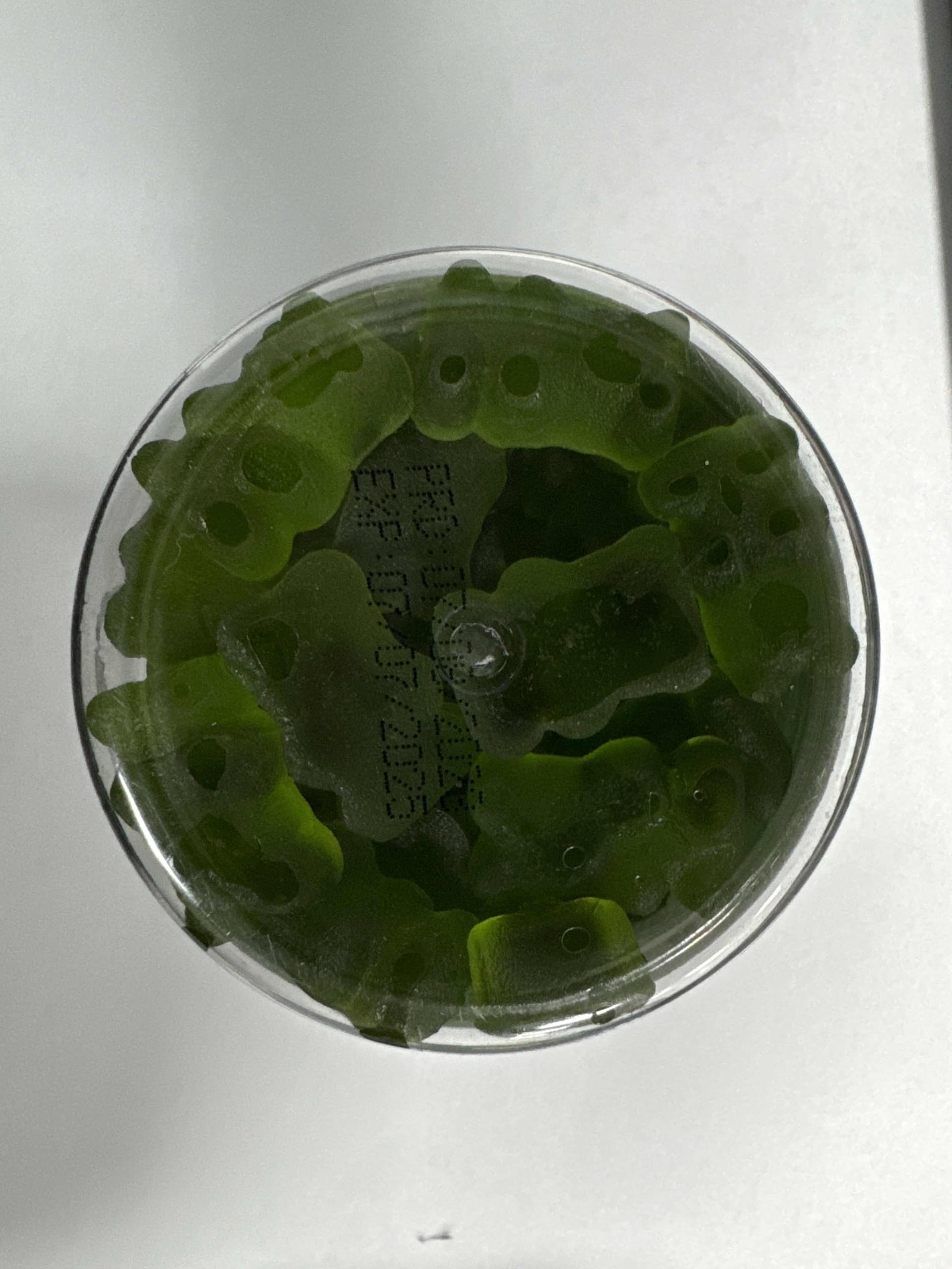 herbal gummies with bitter melon