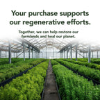 herbal gut health solution with probiotics