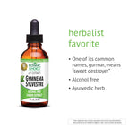 herbal gymnema sylvestre for wellness