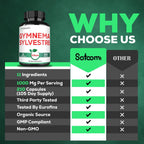 herbal gymnema sylvestre for wellness