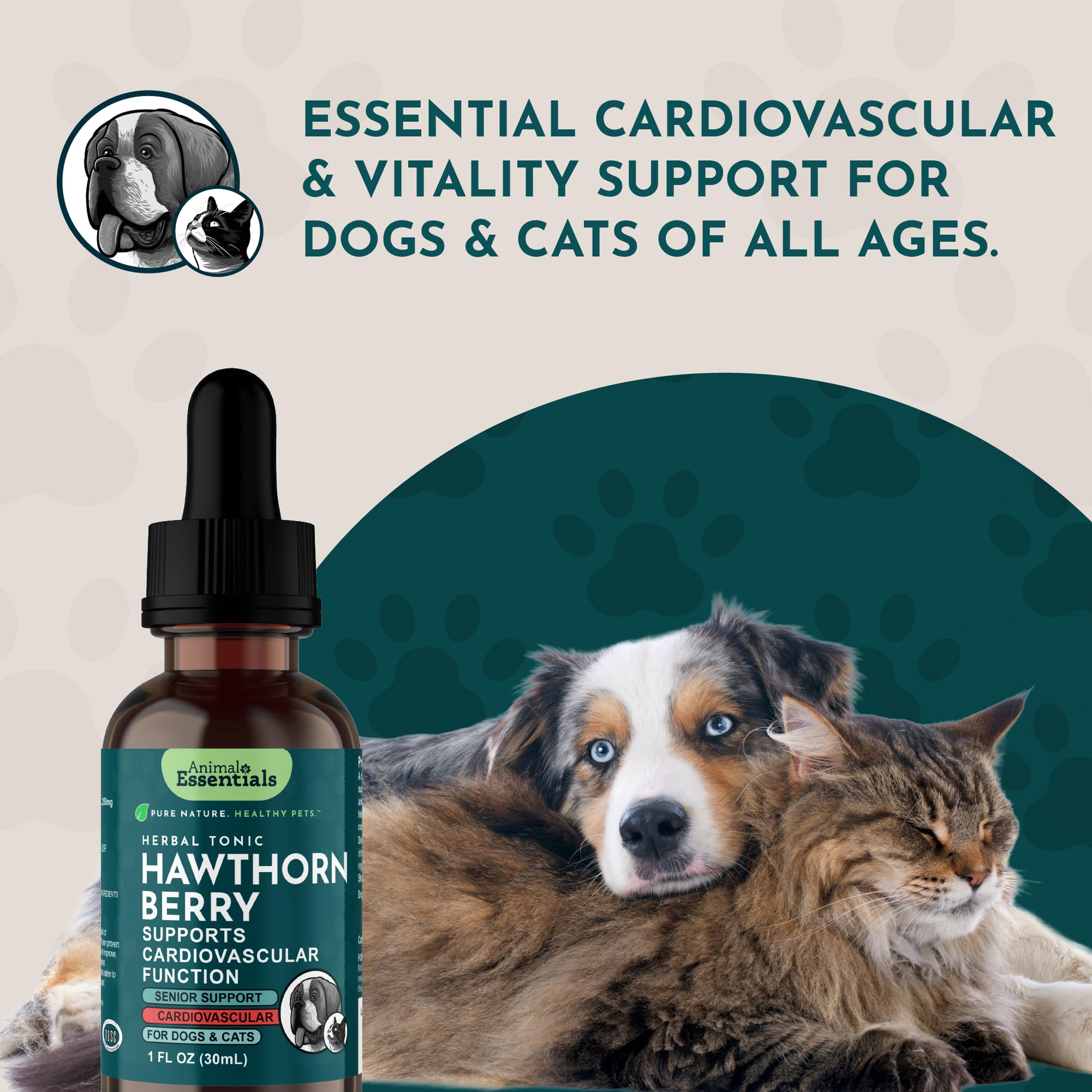 herbal heart health solution for pets