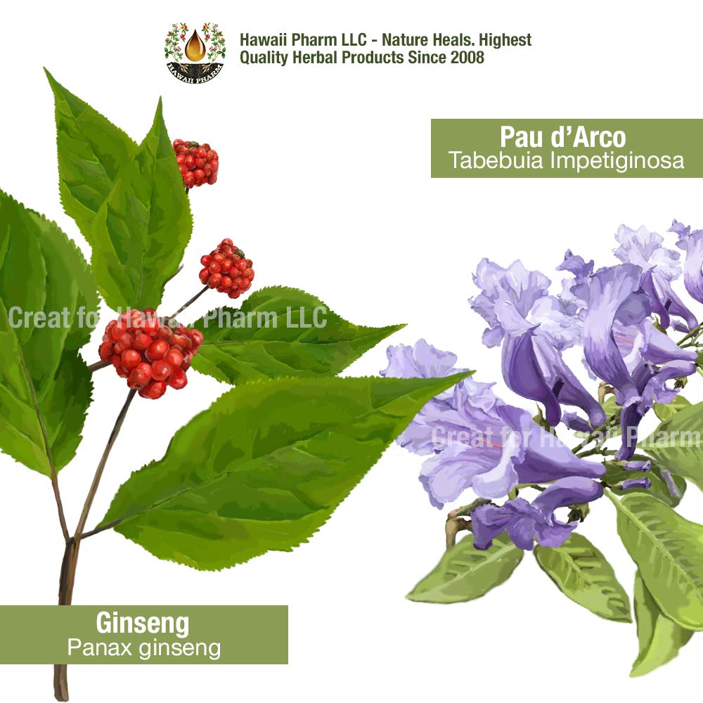 herbal immune booster for adults