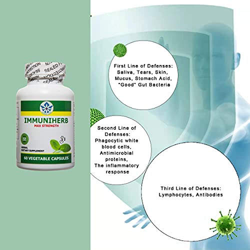 herbal immune support for adults