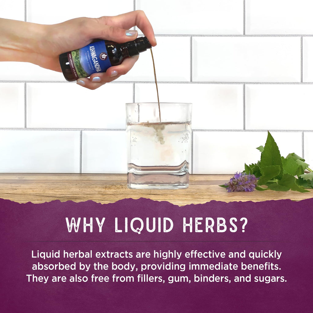 Herbal immune support with echinacea