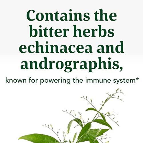 herbal immune support with elderberry