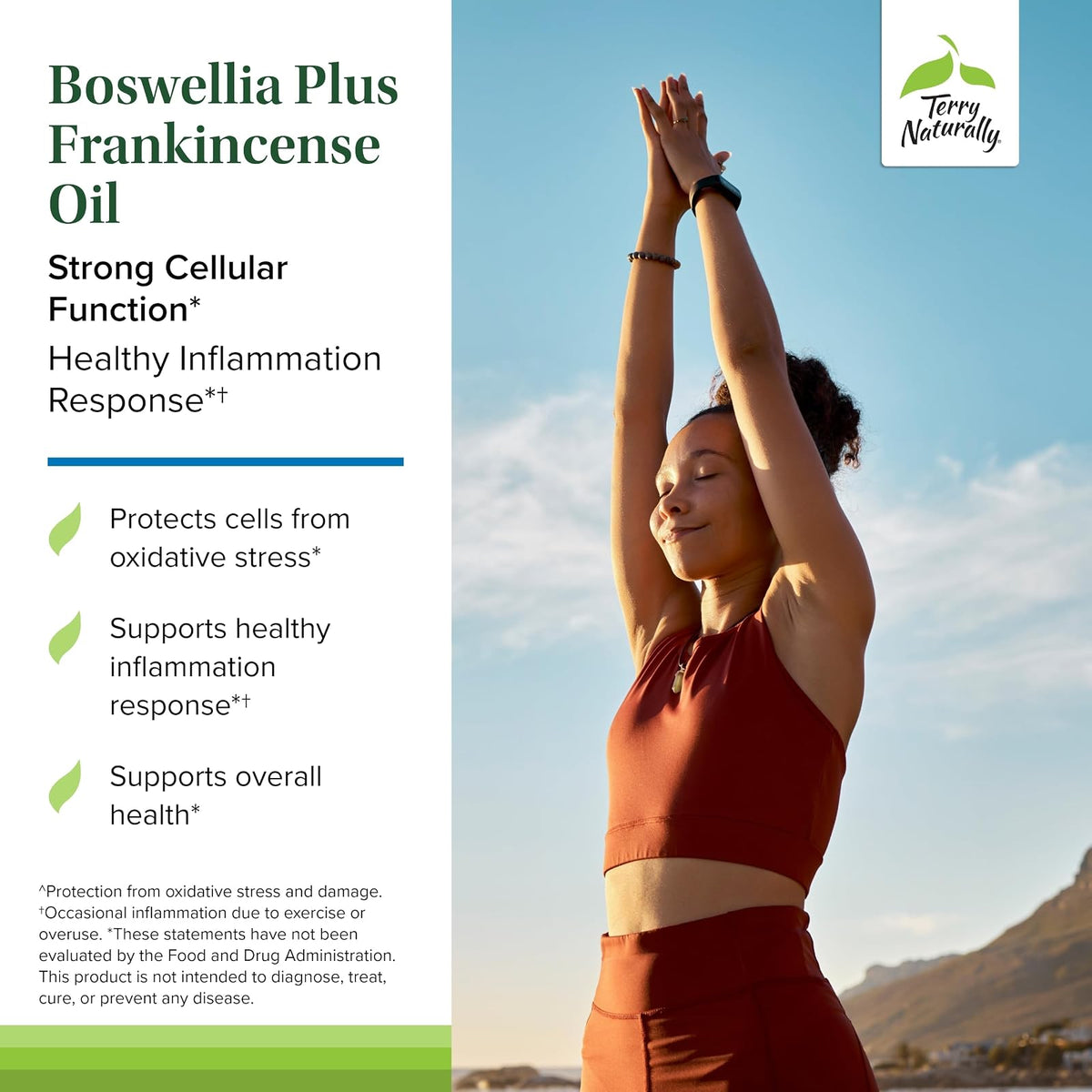 herbal inflammation relief supplement