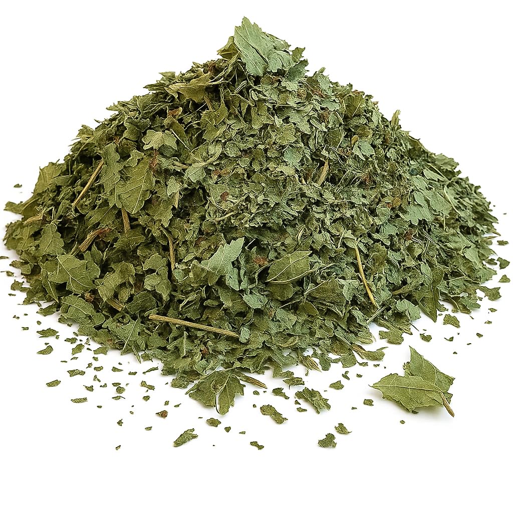 herbal infusion blackberry leaf benefits