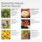 herbal infusion detox tea benefits
