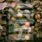 Herbal infusion for daily rejuvenation