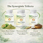 herbal infusion for digestive health