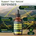 herbal infusion for gut health