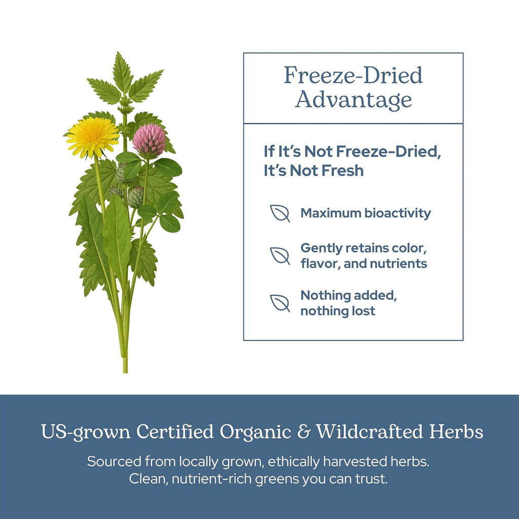 herbal infusion for lymph health
