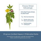 herbal infusion for lymph health