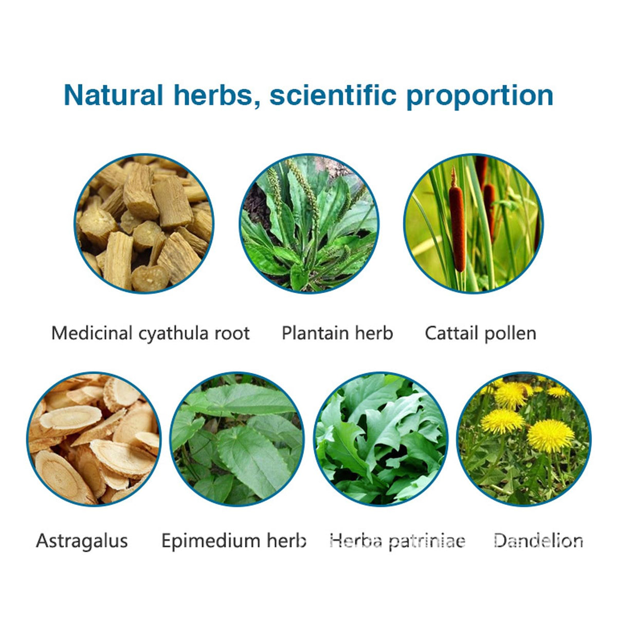 herbal infusion for prostate wellness