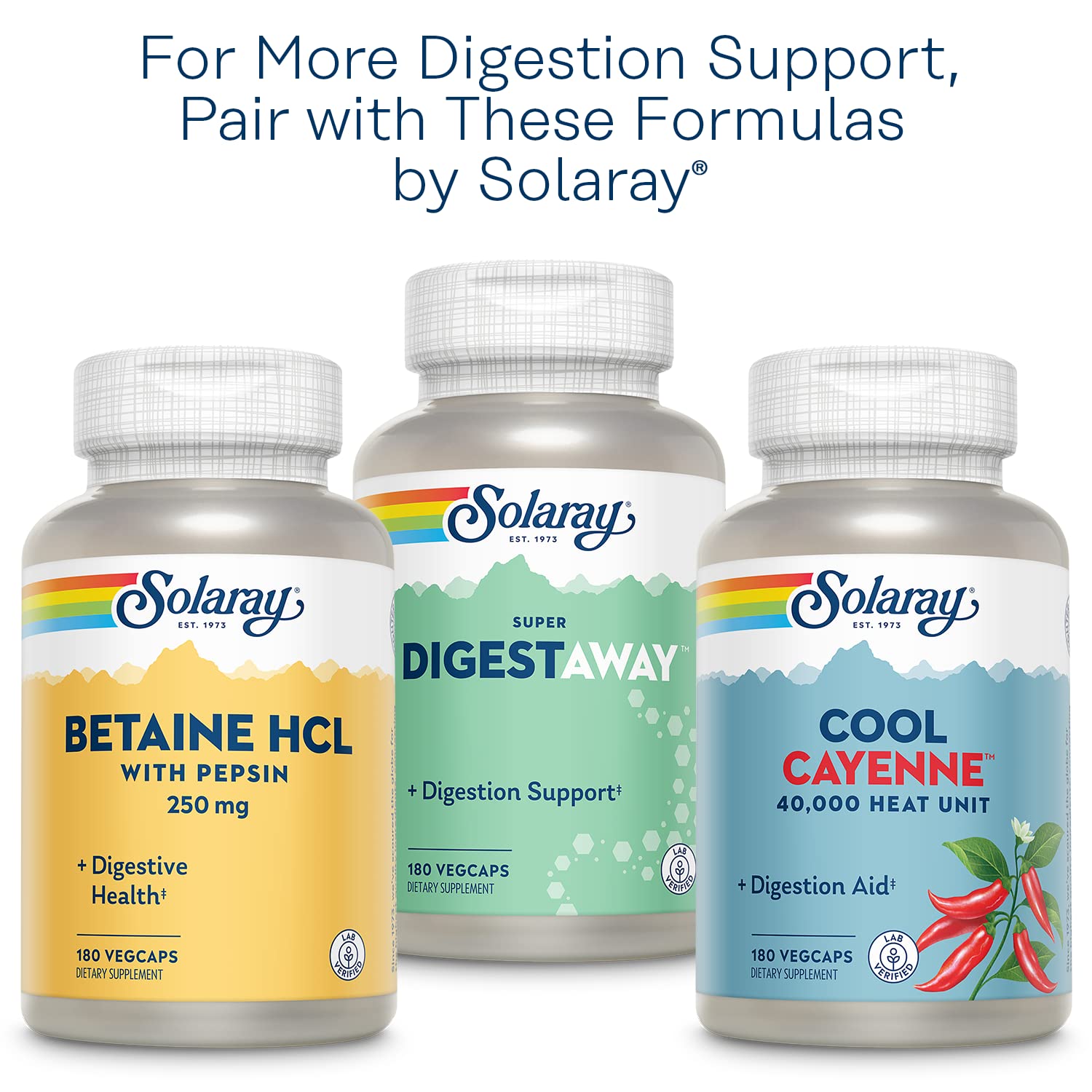 herbal infusion ginger root capsules