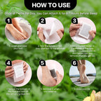 herbal infusion ginger tea pads