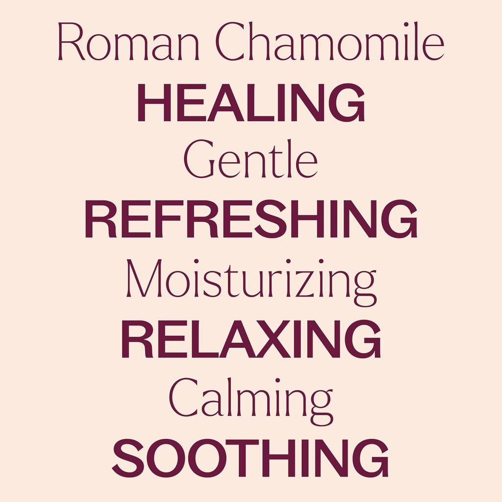 herbal infusion Roman chamomile