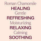 herbal infusion Roman chamomile