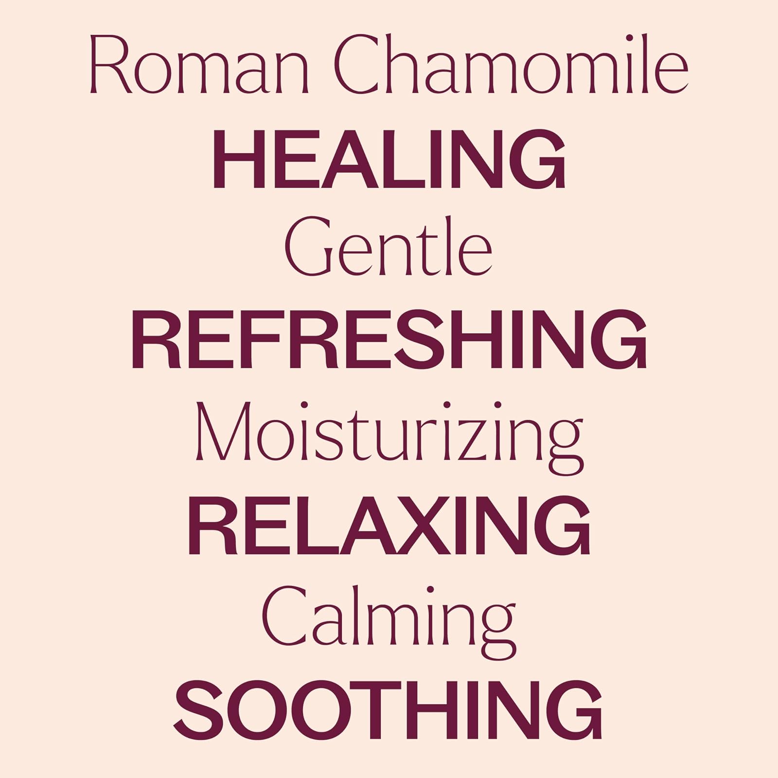 herbal infusion Roman chamomile