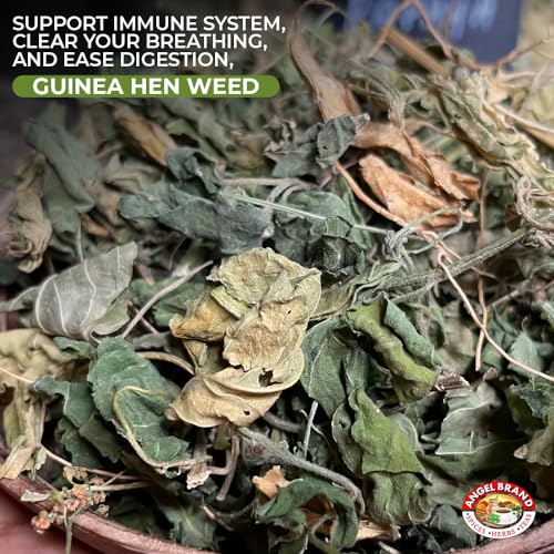 herbal infusion with Guinea Hen Weed