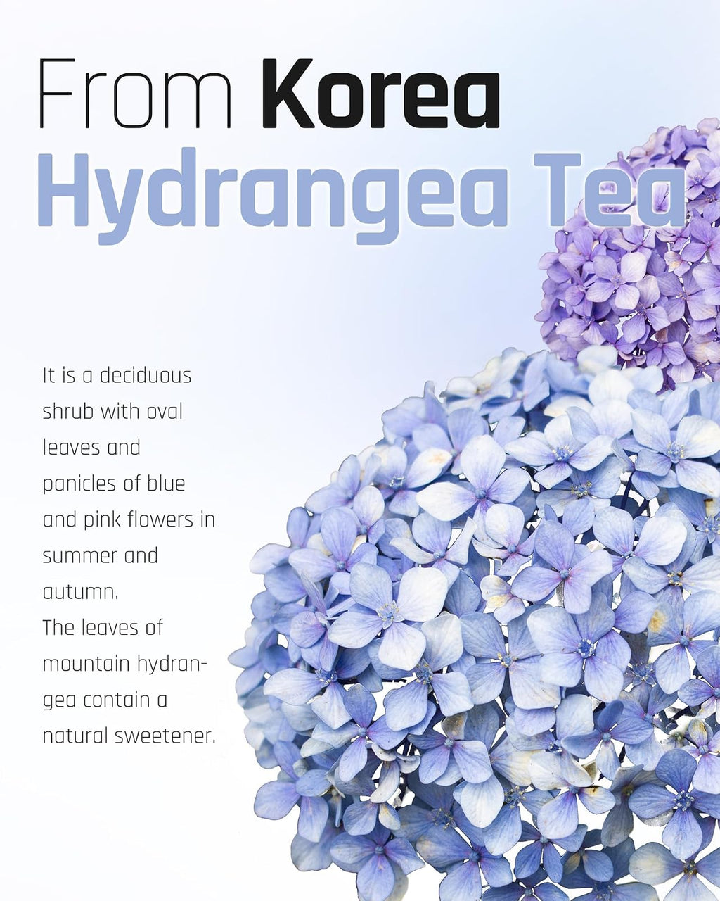 Herbal infusion with hydrangea benefits
