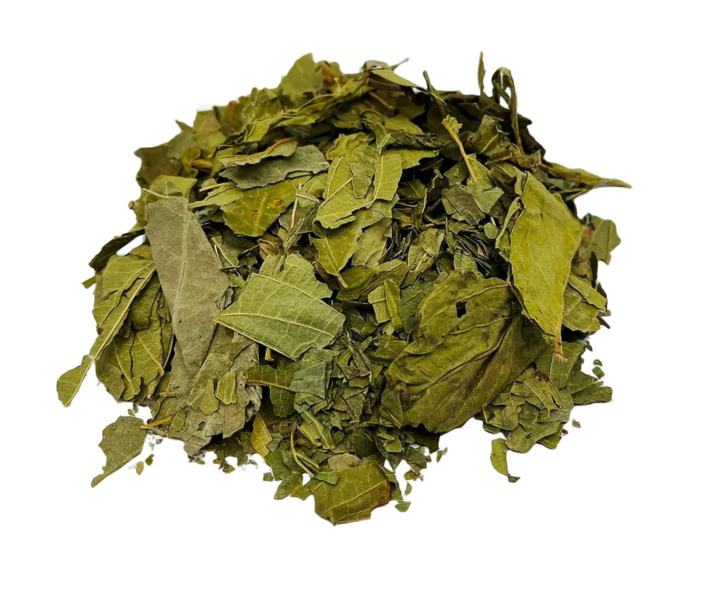 Herbal infusion with Matico leaves