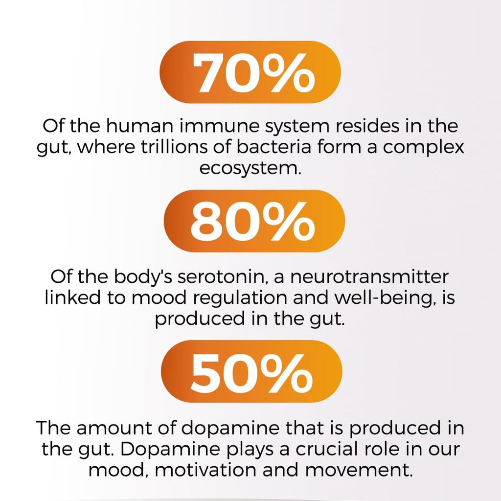 herbal ingredients for digestion