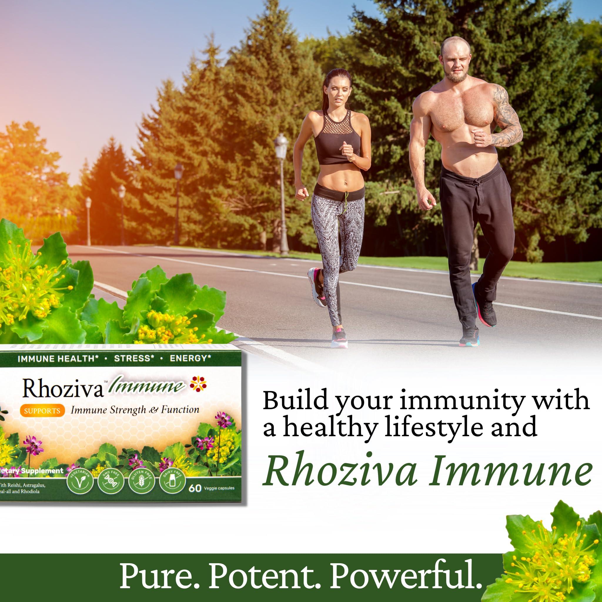 herbal ingredients for immune resilience