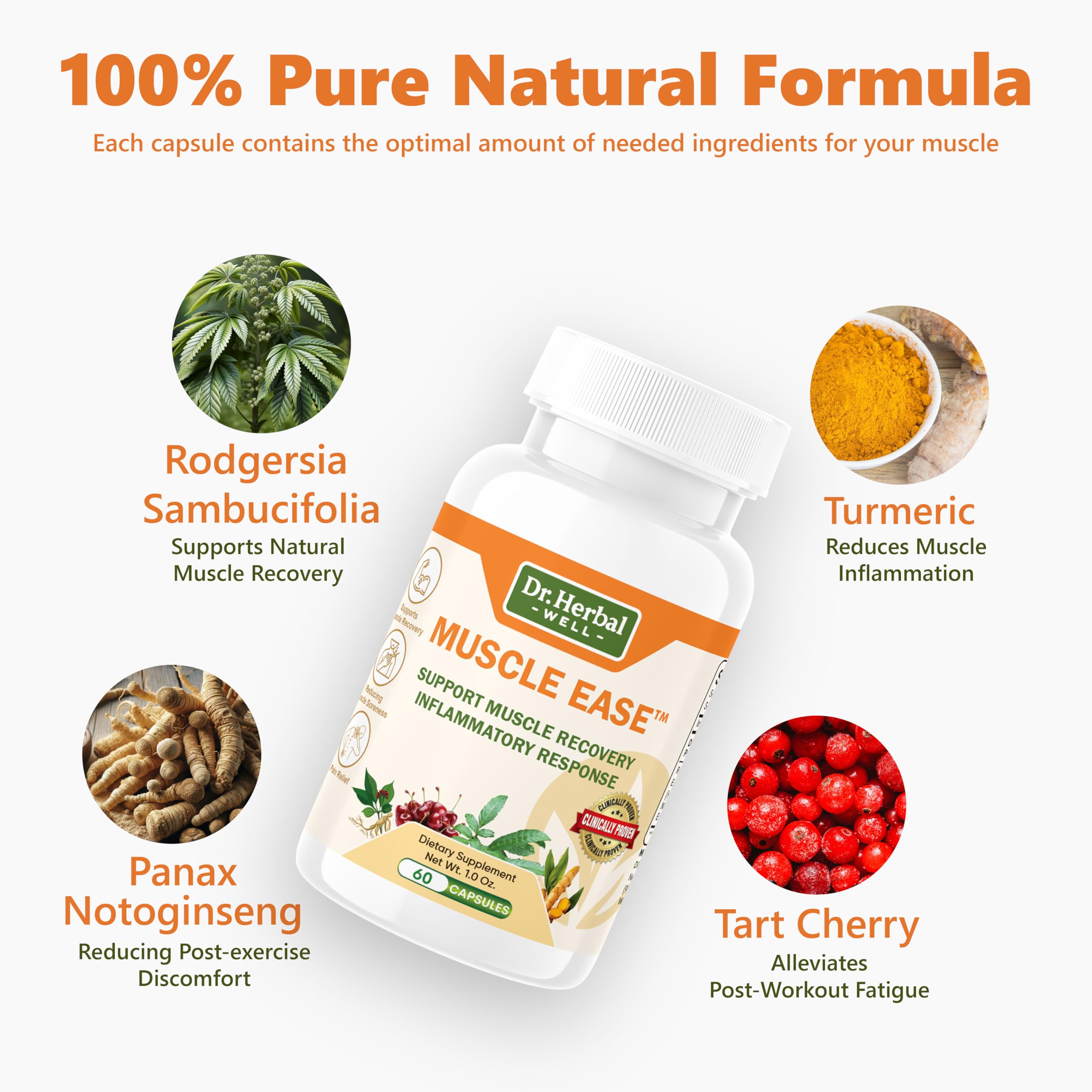 herbal ingredients for muscle recovery