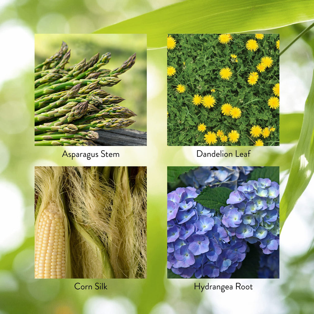 herbal ingredients for urinary maintenance