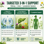 Herbal kidney and liver support