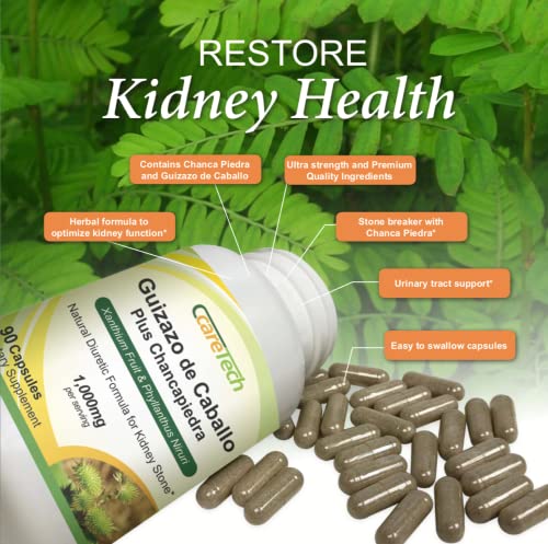 herbal kidney health capsules Canada