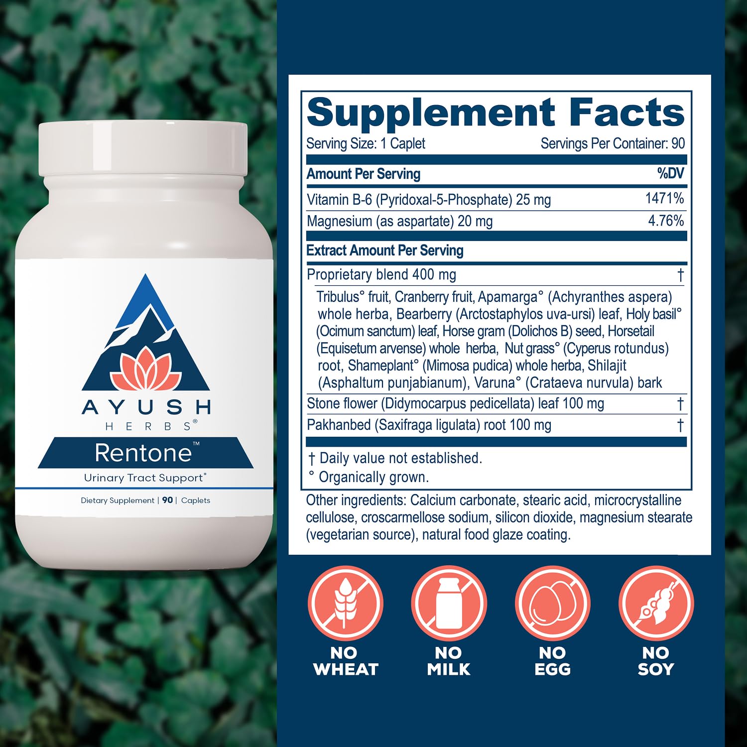 Herbal kidney support with cranberry extract