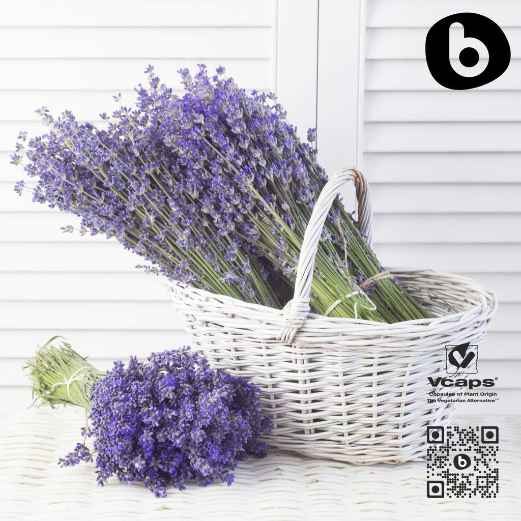 herbal lavender capsules for wellness