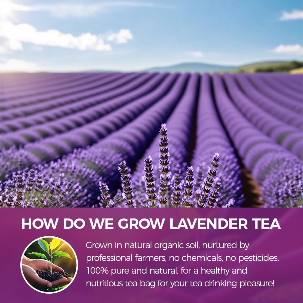 herbal lavender powder for wellness